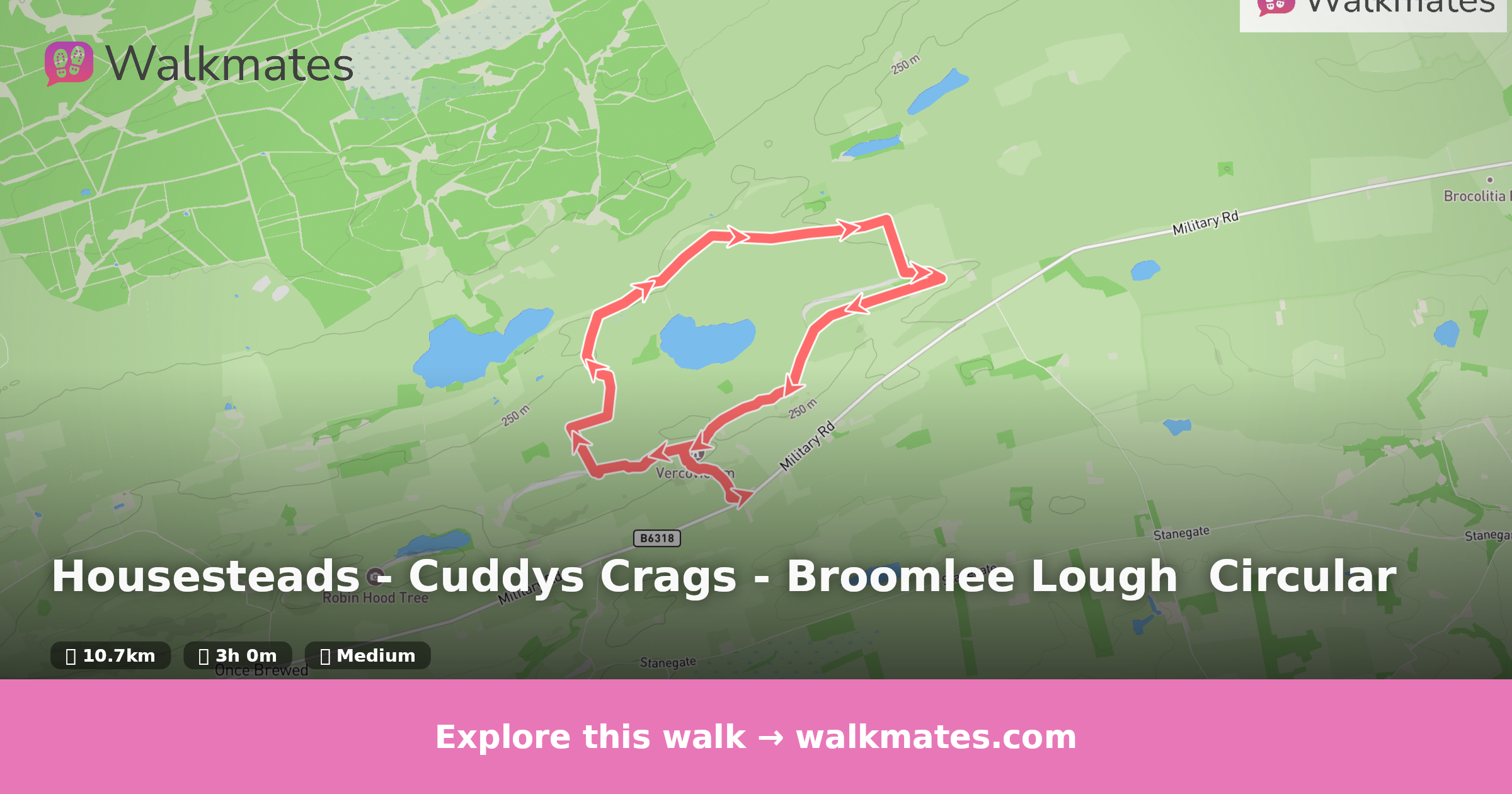 Housesteads - Cuddys Crags - Broomlee Lough Circular | Walkmates ...