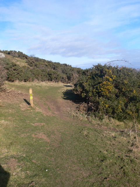 Little Orme [Creigiau Rhiwledyn] Group Walks | Join a Walk | Walkmates