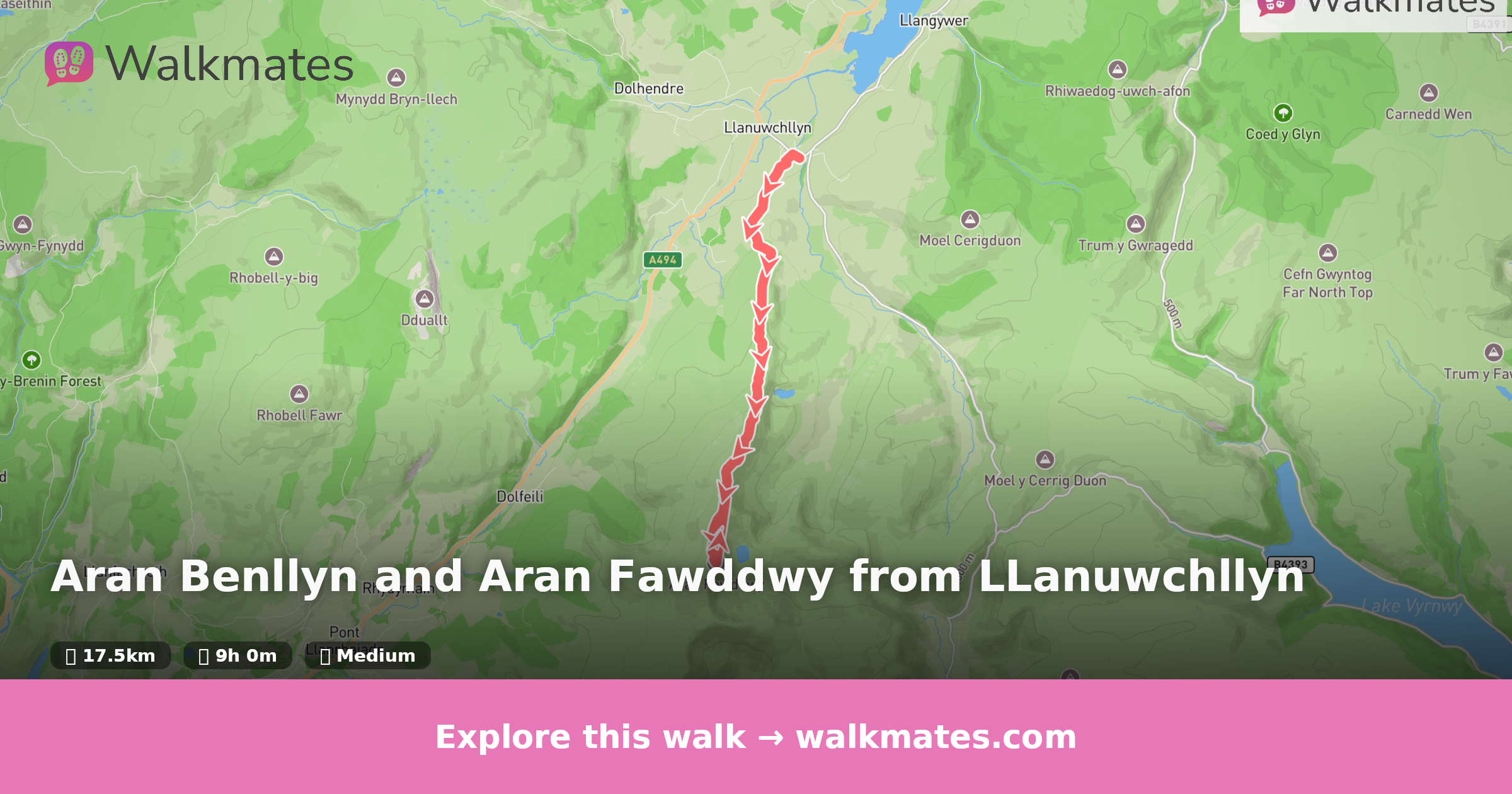 Aran Benllyn and Aran Fawddwy from LLanuwchllyn | Walkmates | Walkmates