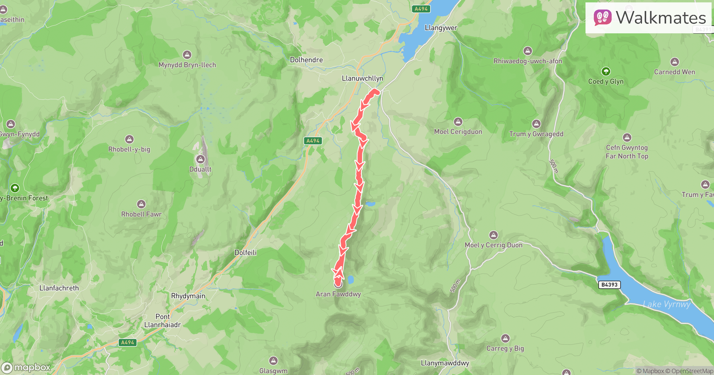 Aran Benllyn and Aran Fawddwy from LLanuwchllyn | Walkmates | Walkmates