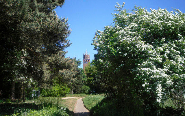 Faringdon Hill [Folly Hill] Group Walks | Join a Walk | Walkmates