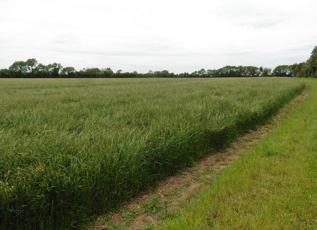 Boring Field: A Must-Hike Experience | Walkmates | Walkmates