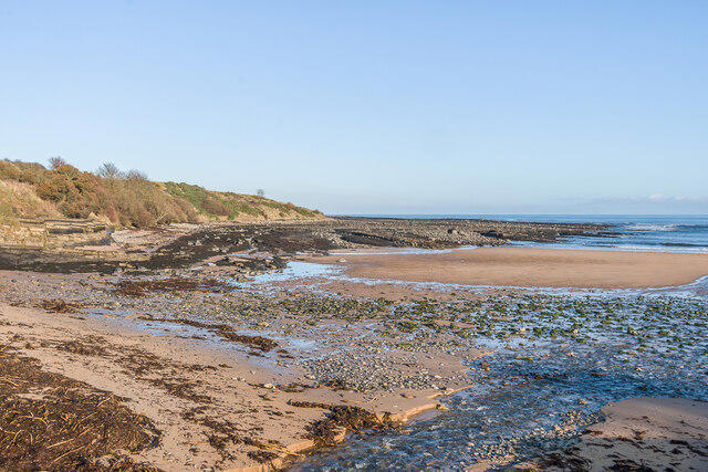 Howick Hall Gardens and Rumbling Kern | Walkmates | Walkmates